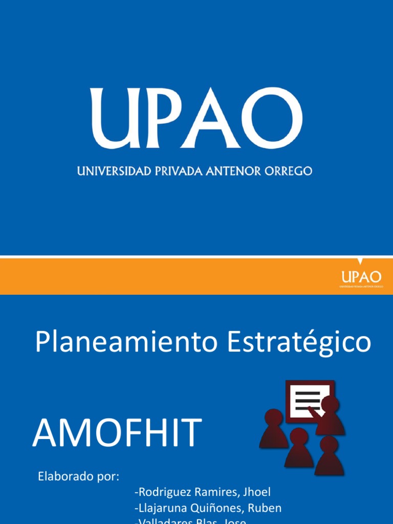 Evaluación Interna en AMOFHIT | PDF | Negocios