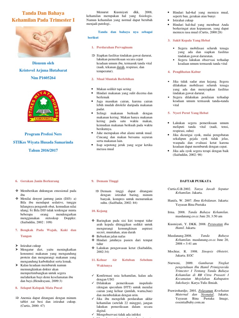 Leaflet Tanda Dan Bahaya Kehamilan Pada Trimester I | PDF