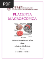 Clasificación Roper Hall y Dua | PDF