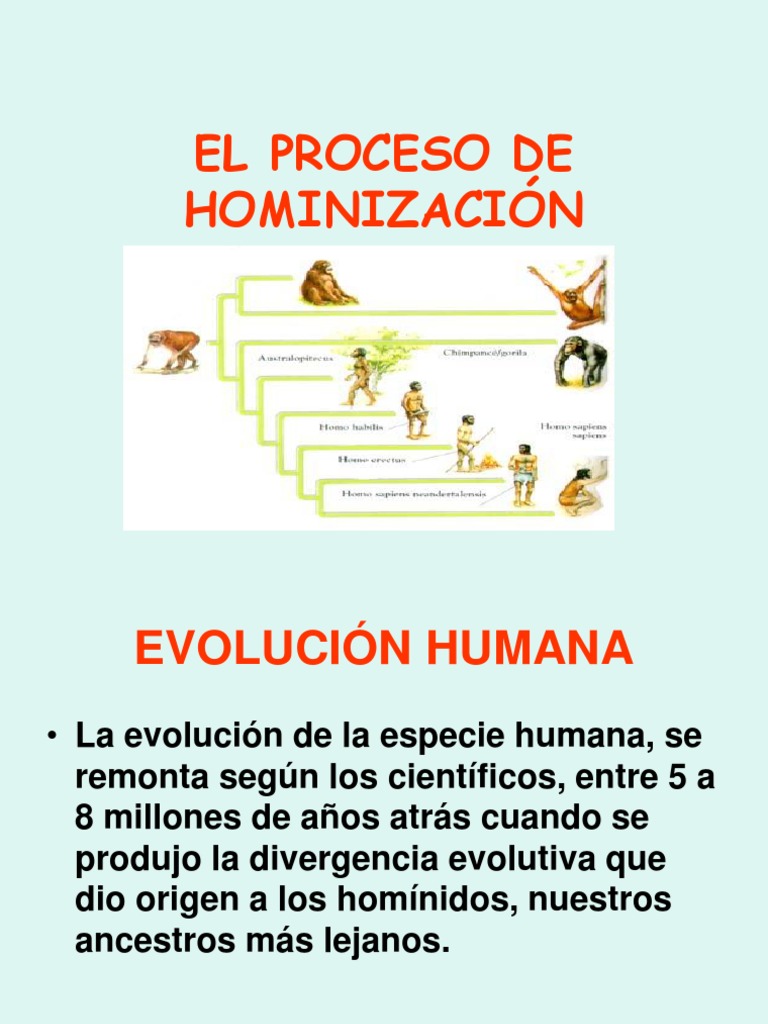 El Proceso de Hominizacion Claudia Retamal | PDF | Homo | Evolución humana