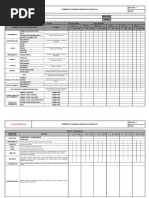 Formato de Control Vehicular | PDF