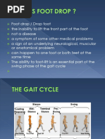 Foot Drop Exercise Ebook Flint Rehab | PDF | Anatomical Terms Of Motion ...