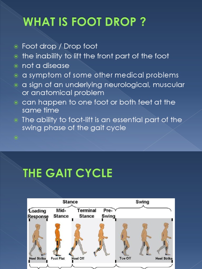 Understanding Foot Drop and Gait | PDF | Foot | Nervous System