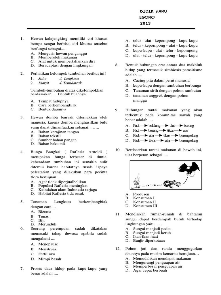 Soal PPDB SMP Plus Al Fatimah Ipa | PDF