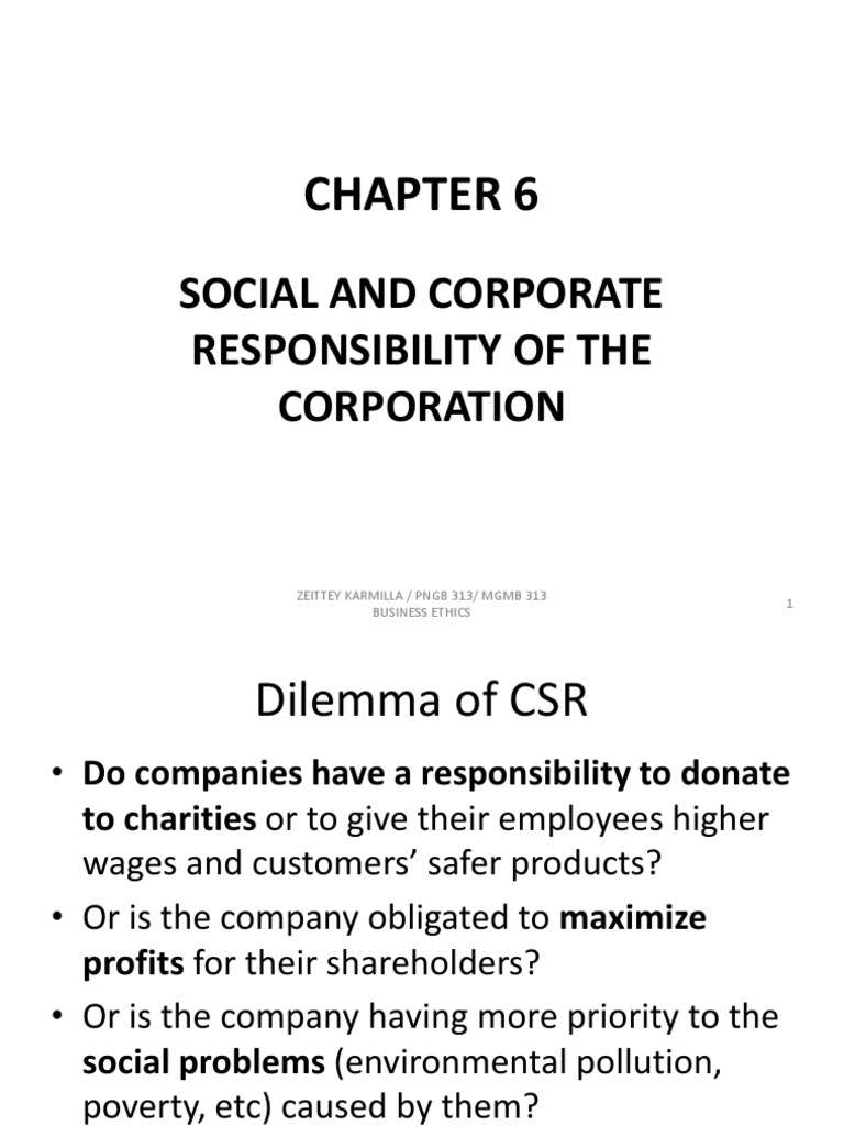 Corporate Social Responsibility (CSR) | PDF | Corporate Social ...