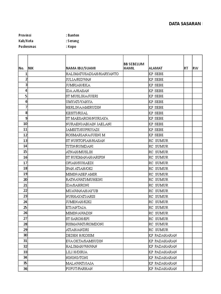 Data Sasaran Bumil & Balita | PDF