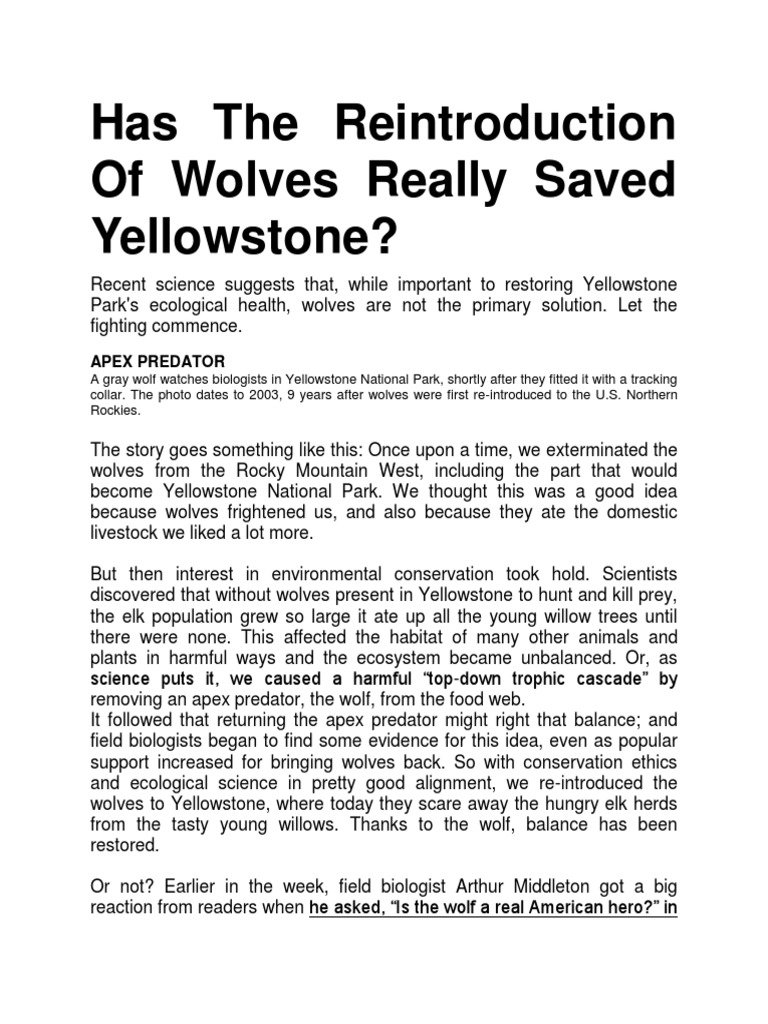 Wolves' Impact on Yellowstone Ecosystem | PDF | Gray Wolf | Yellowstone ...