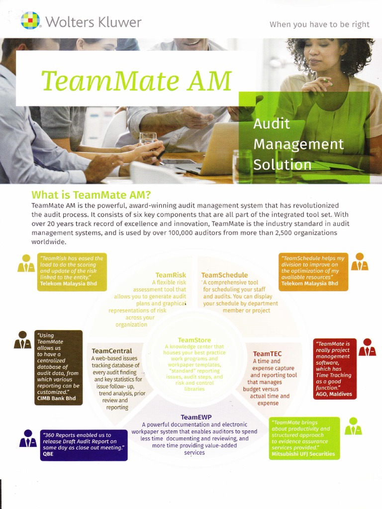 Brosur - TeamMate AM | PDF | Audit | Information Technology Management