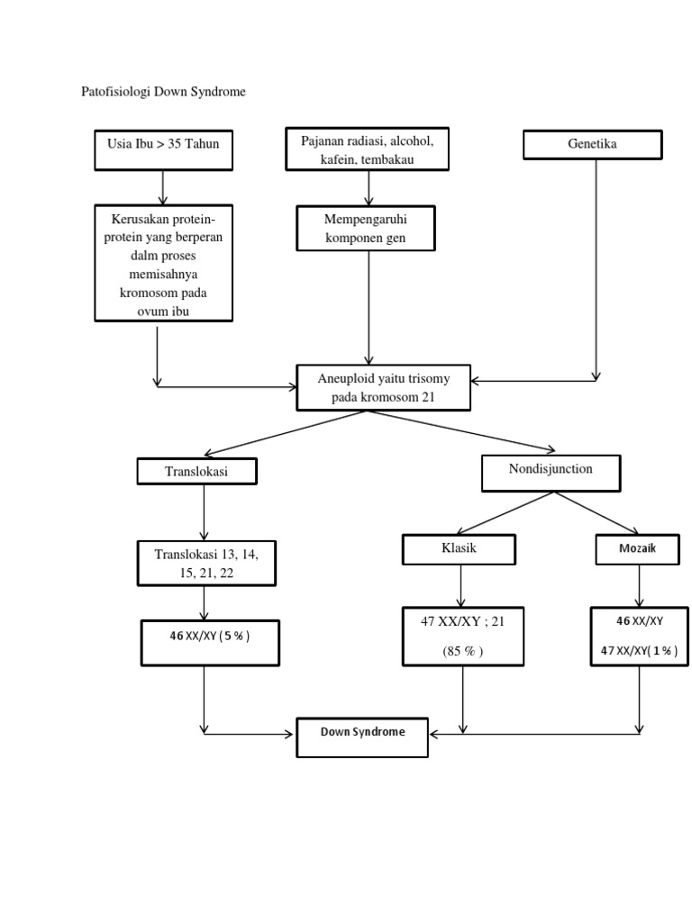 Patofisiologi Down Syndrome - Juliana Manurung (13000017) | PDF