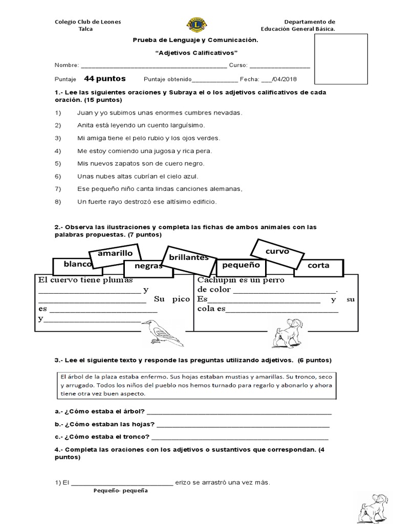 Prueba de Lenguaje Adjetivos Calificativos 1 | PDF | Adjetivo | Idiomas