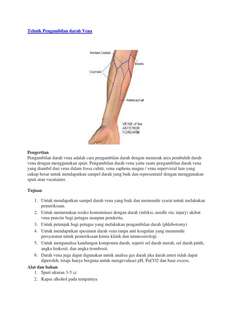 Tehnik Pengambilan Darah Vena | PDF