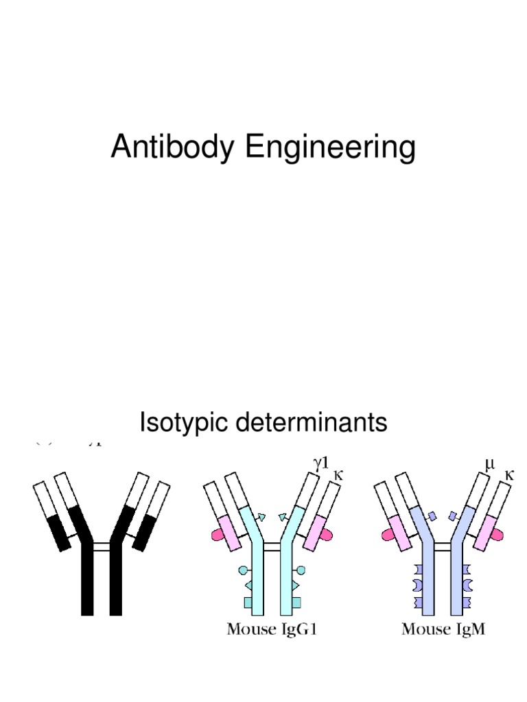 Ab Engineering | PDF | Science & Mathematics