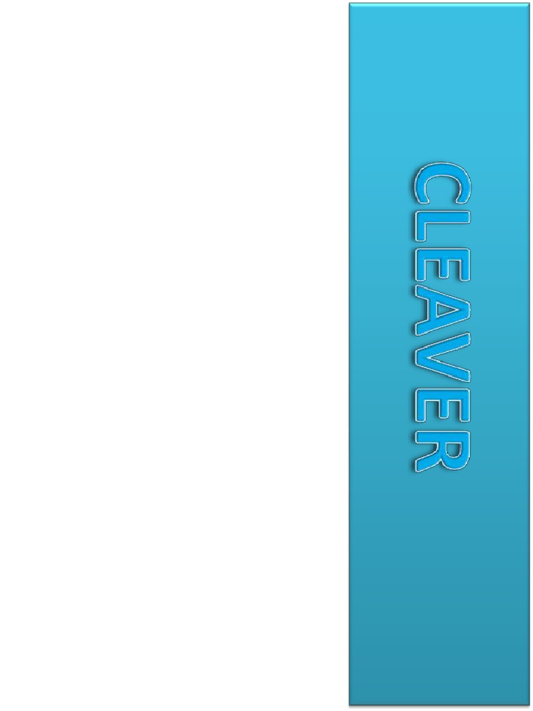 Prueba Cleaver | PDF | Comportamiento | Sicología