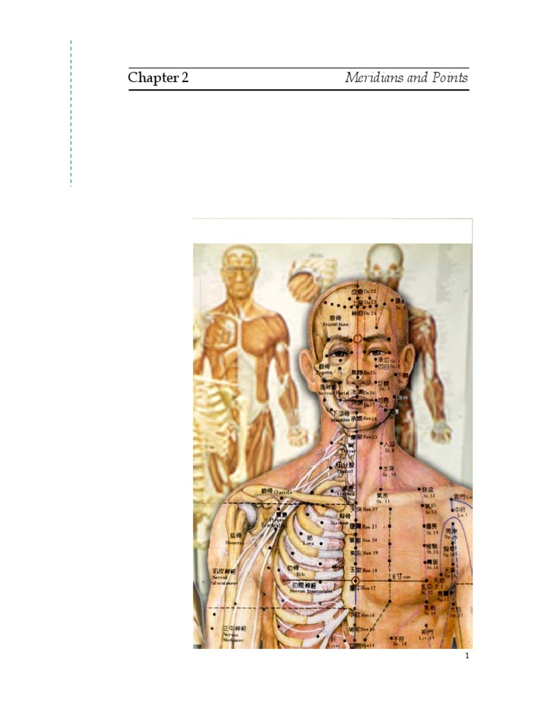 Understanding Acupuncture Meridians | PDF | Traditional Chinese ...