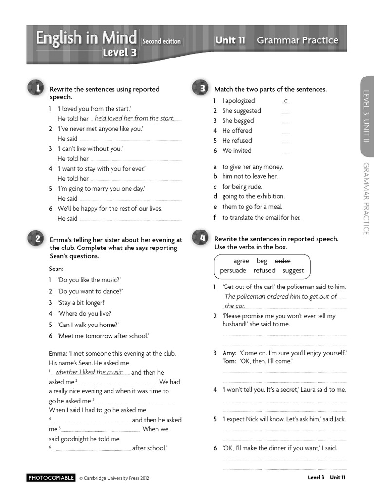 Level 3: Unit 11 Grammar Practice | PDF