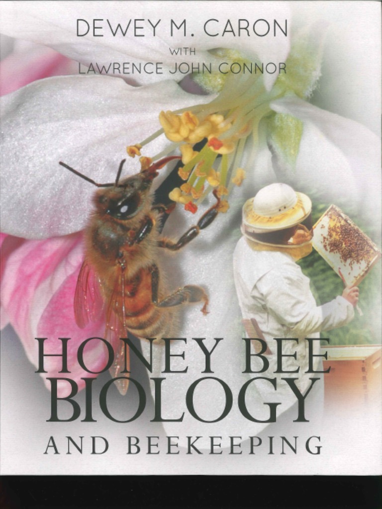 Honey Bee Biology and Beekeeping Chapter 1 | PDF