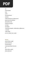 Respiratory System Mnemonics Guide | PDF