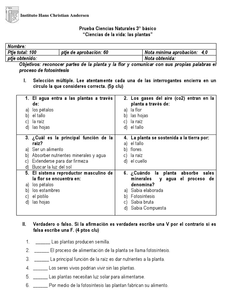 Prueba Vida de Las Plantas | Plantas | Flores