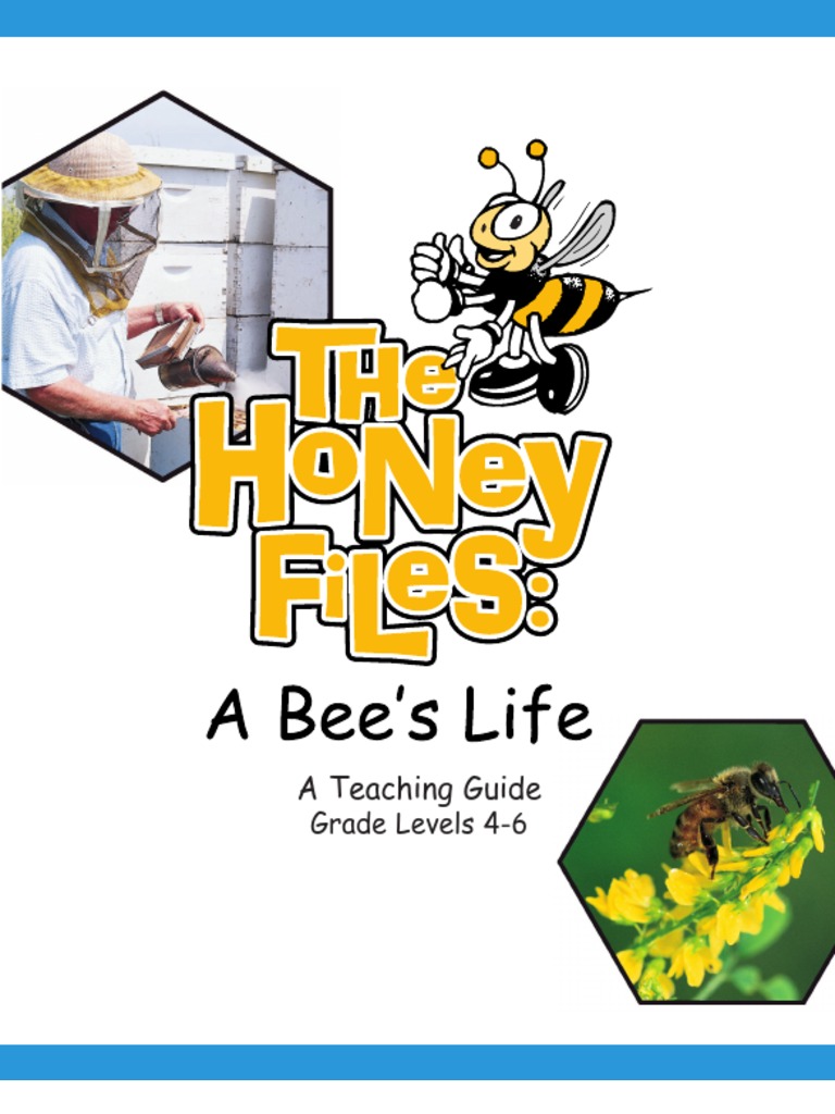 Worksheets Honey | PDF | Honey Bee | Bees