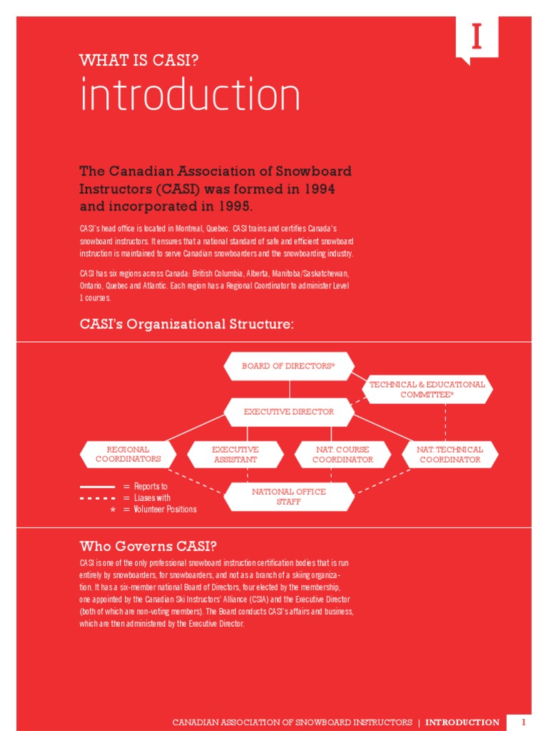 Casi Level 1 | PDF | Learning Styles | Goal