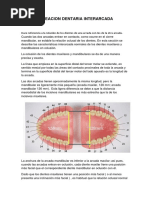 Oclusion Fosa Cuspide | PDF | Anatomia dental | Diente