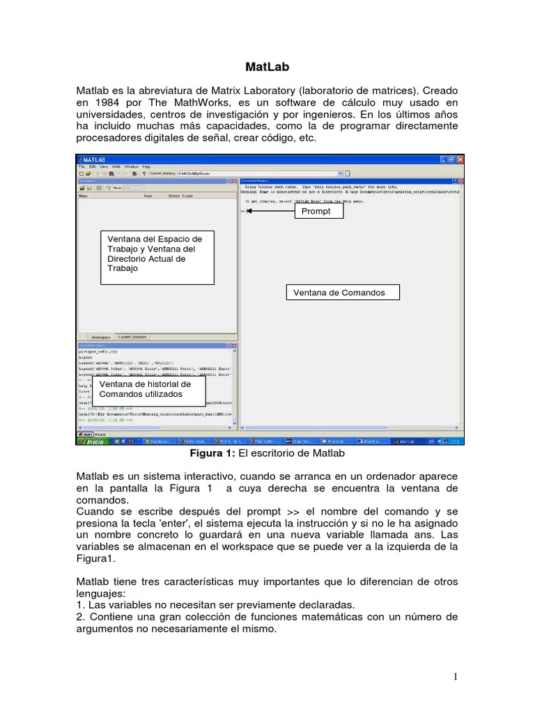 Programacion en Matlab | PDF | Flujo de control | Matriz (Matemáticas)