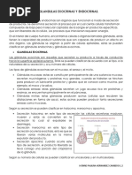 Farmacos Digitalicos | PDF | Medicina CLINICA | Farmacología