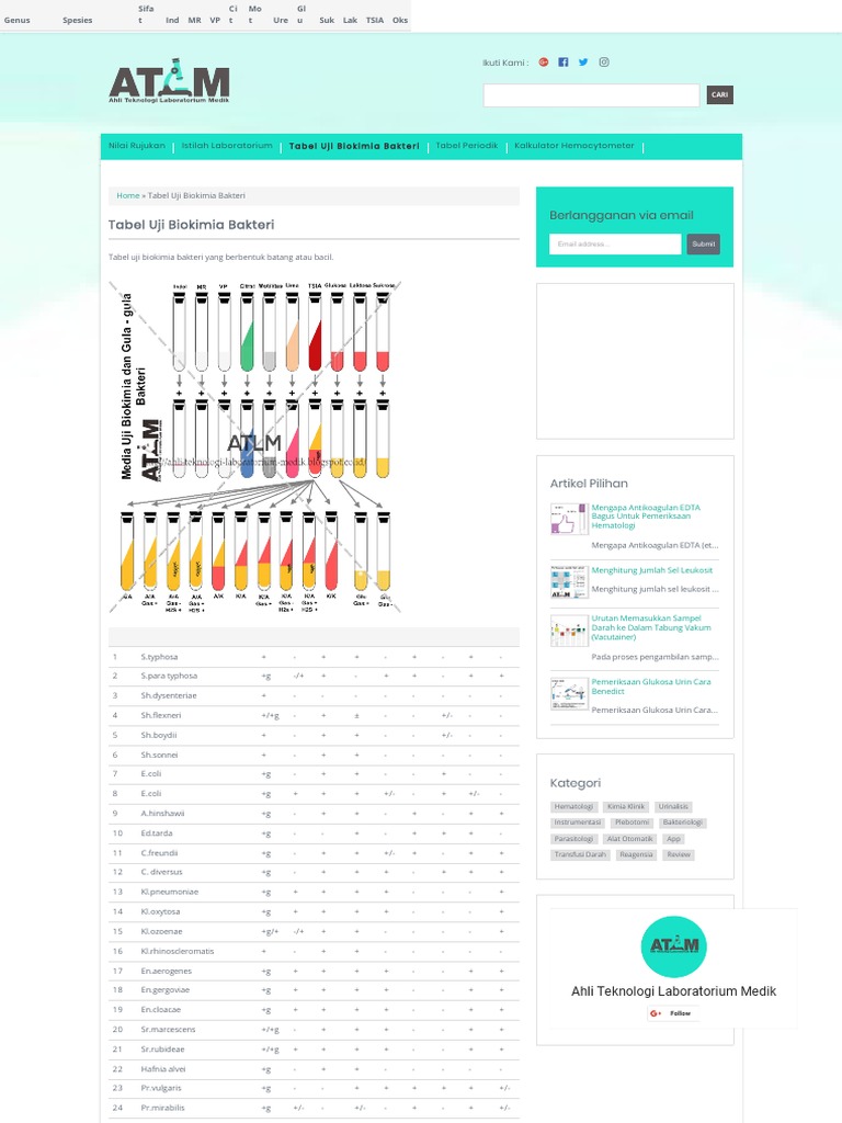 Tabel Penetuan Spesies Bakteri Uji Biokimia Bakteri | PDF