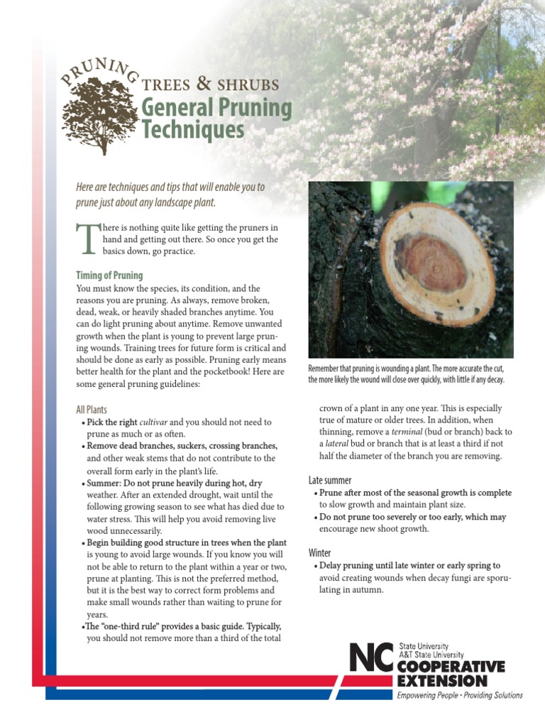 General Pruning Techniques | PDF | Pruning | Trees