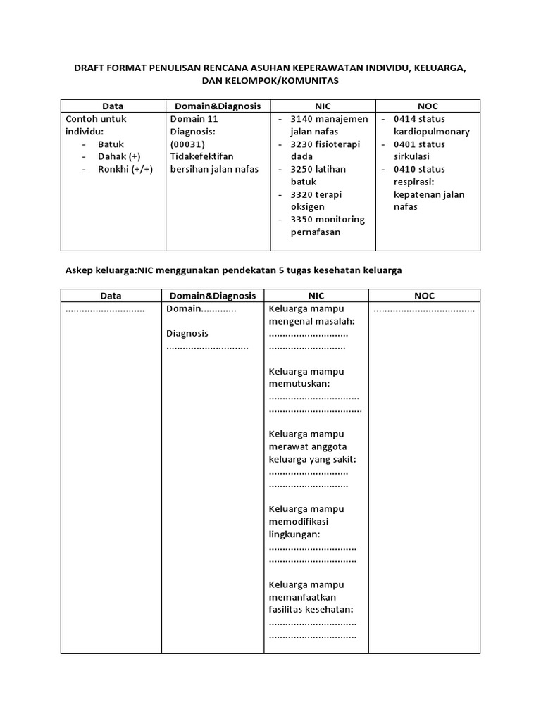 Draft Format Penulisan Rencana Asuhan Keperawatan Individu PDF | PDF ...