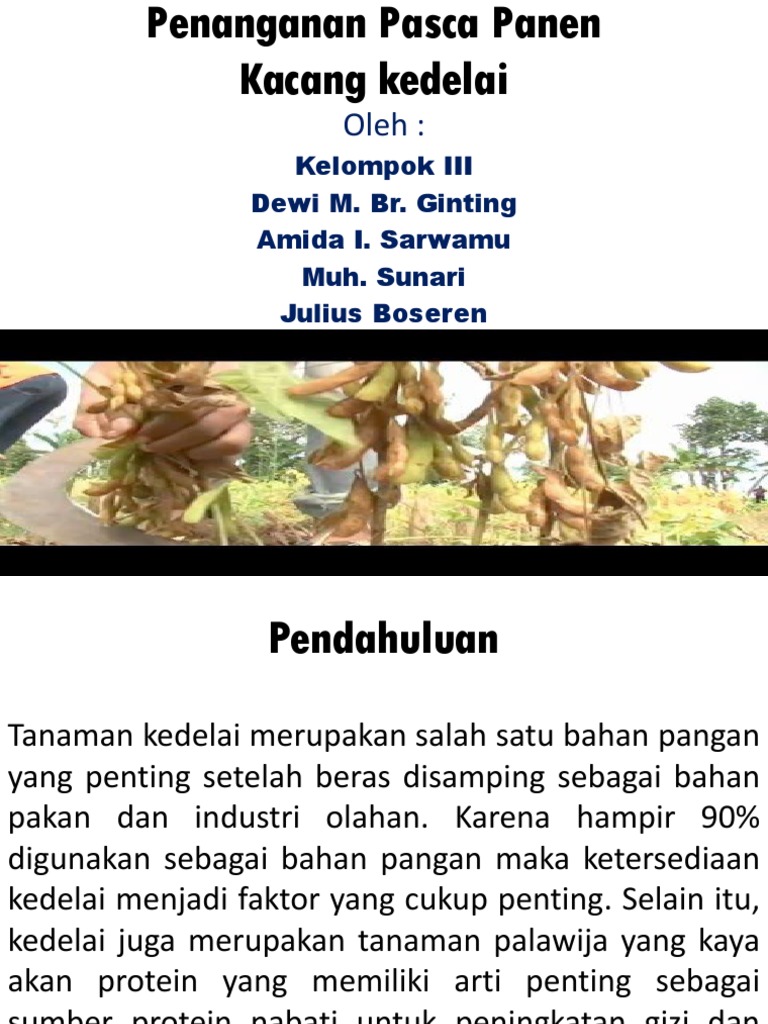 Penanganan Pasca Panen | PDF