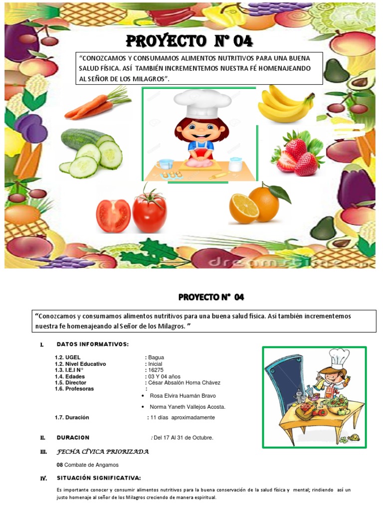 Proyecto Alimentos | PDF | Science | Información