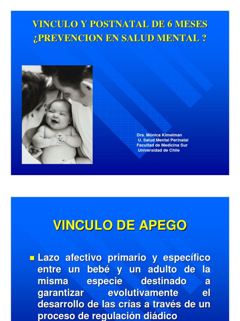 Vinculo y Post-Natal de 6 Meses (Dra. Kimmelman) | PDF | Teoría de apego | Experiencia subjetiva