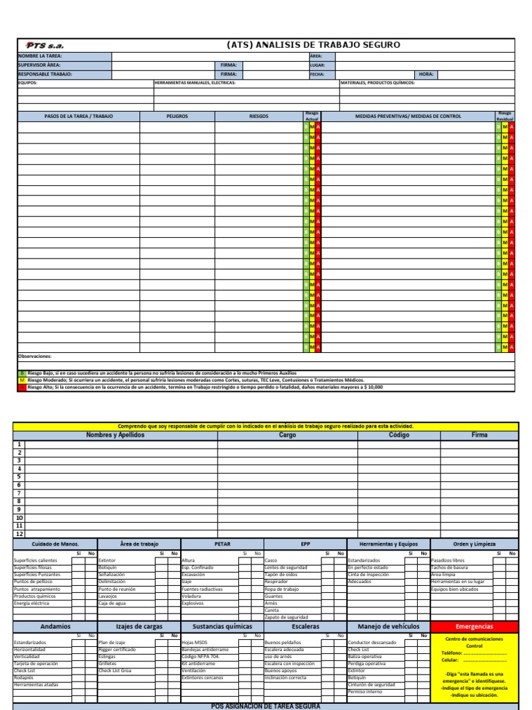 Formato ATS | PDF | Riesgo | Prevención