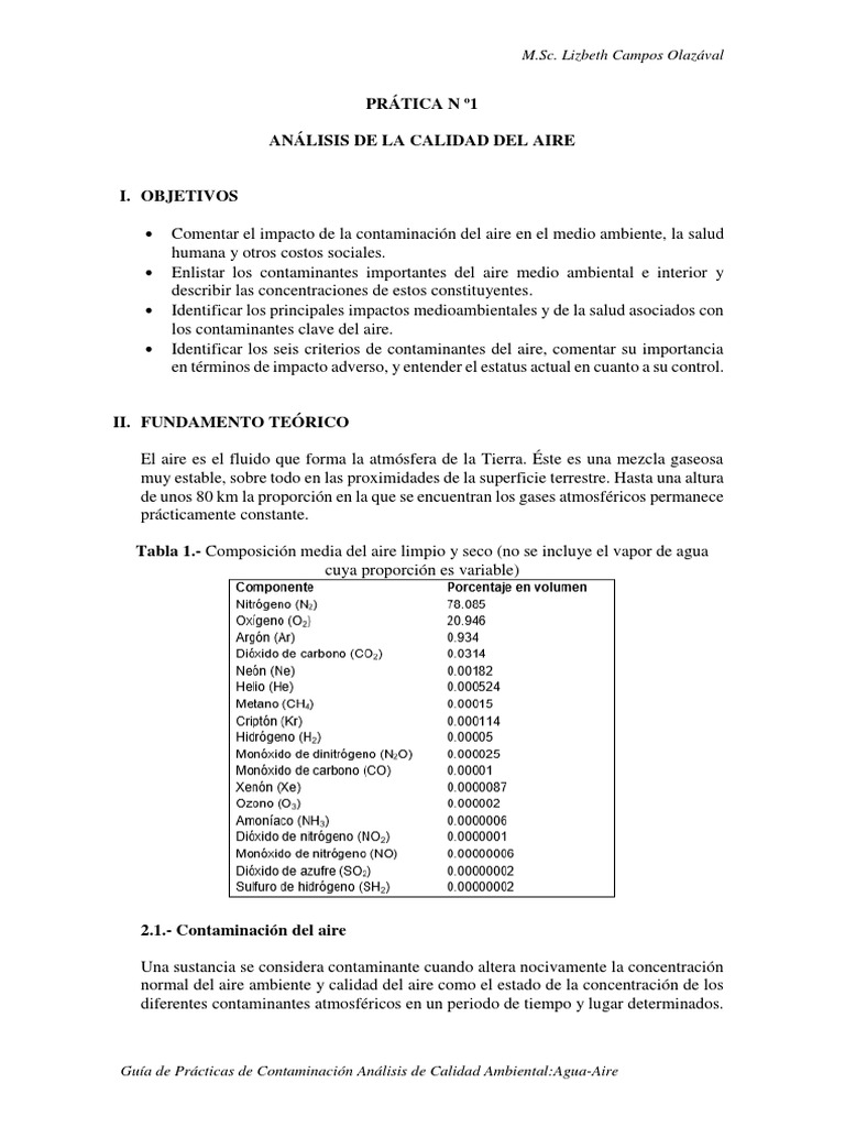 Práctica N1 - Contaminacion | PDF | Contaminación | La contaminación ...