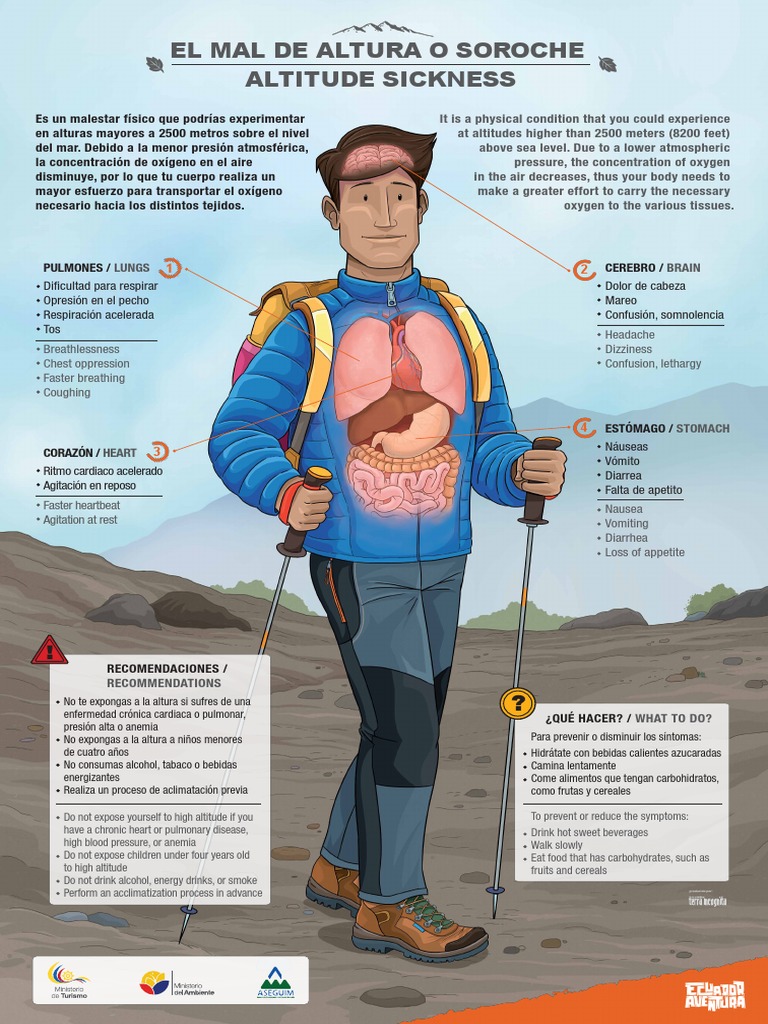 Síntomas y prevención del soroche | PDF | Altitud | Oxígeno