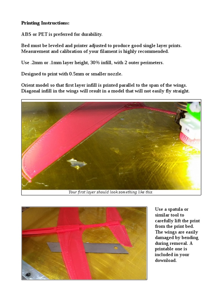 Printing Instructions:: Your First Layer Should Look Something Like ...