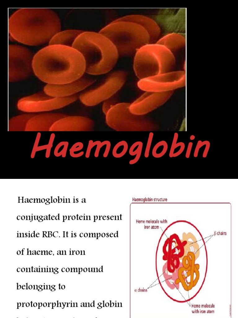 Haemoglobin | PDF | Hemoglobin | Anemia