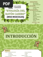 Anatomía y Cuidado de la Rata Wistar | PDF