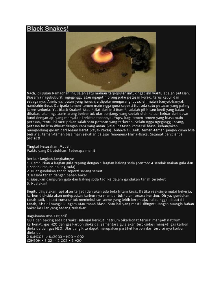 Petasan Black Snakes: Cara dan Reaksi | PDF | Seni