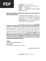 Modelo de Escrito Solicitando Que Se Declare Consentida La Resolucion | PDF
