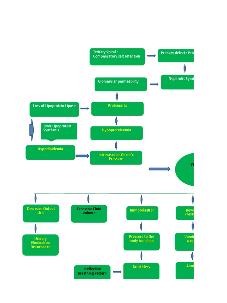Woc Gaek | PDF | Edema | Medicine