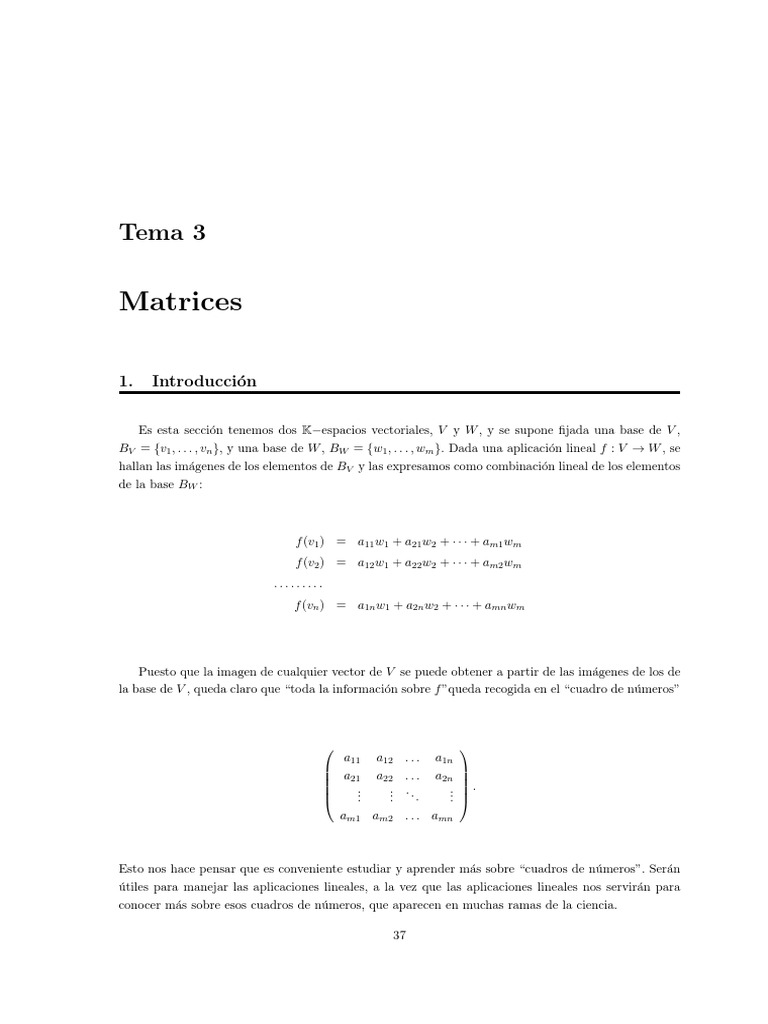 Tema 3. Matrices | PDF | Matriz (Matemáticas) | Mapa lineal