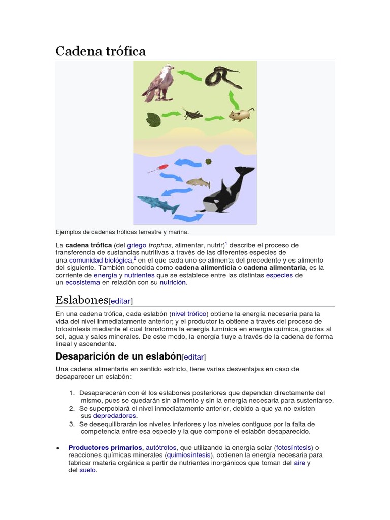 Cadena Trófica | Biogeoquímica | Organismos