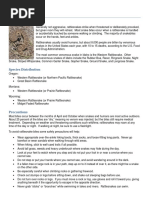 Snake Awareness Toolbox Talk | PDF