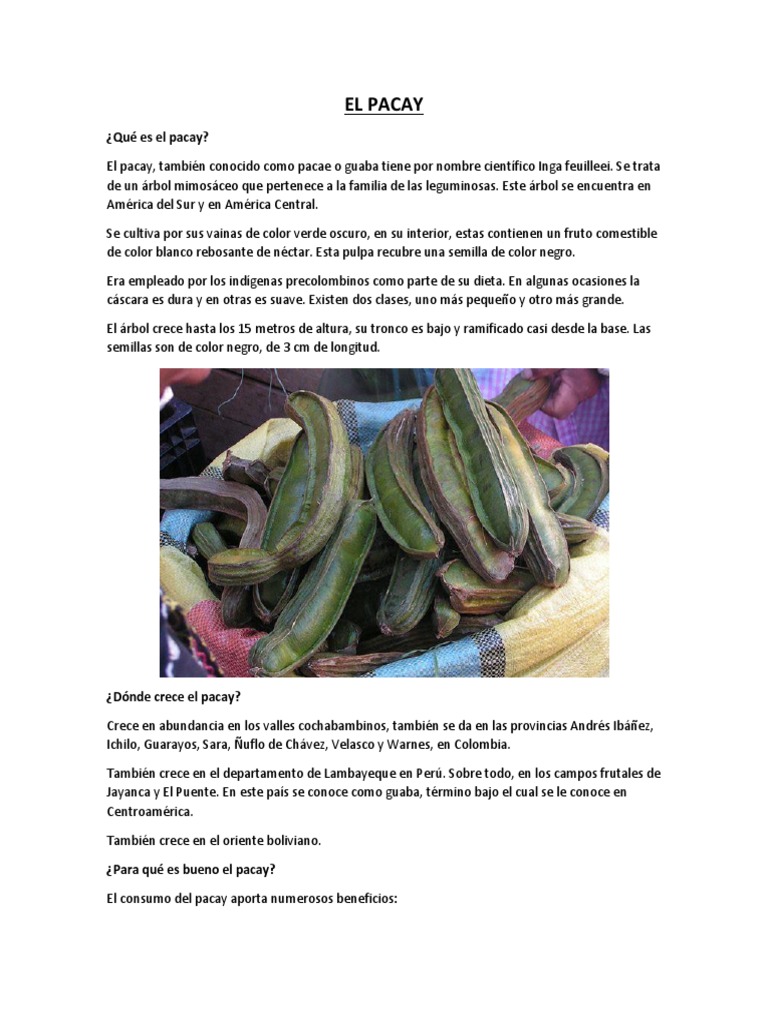 Beneficios y usos del pacay | PDF | Antioxidante | Comida y bebida
