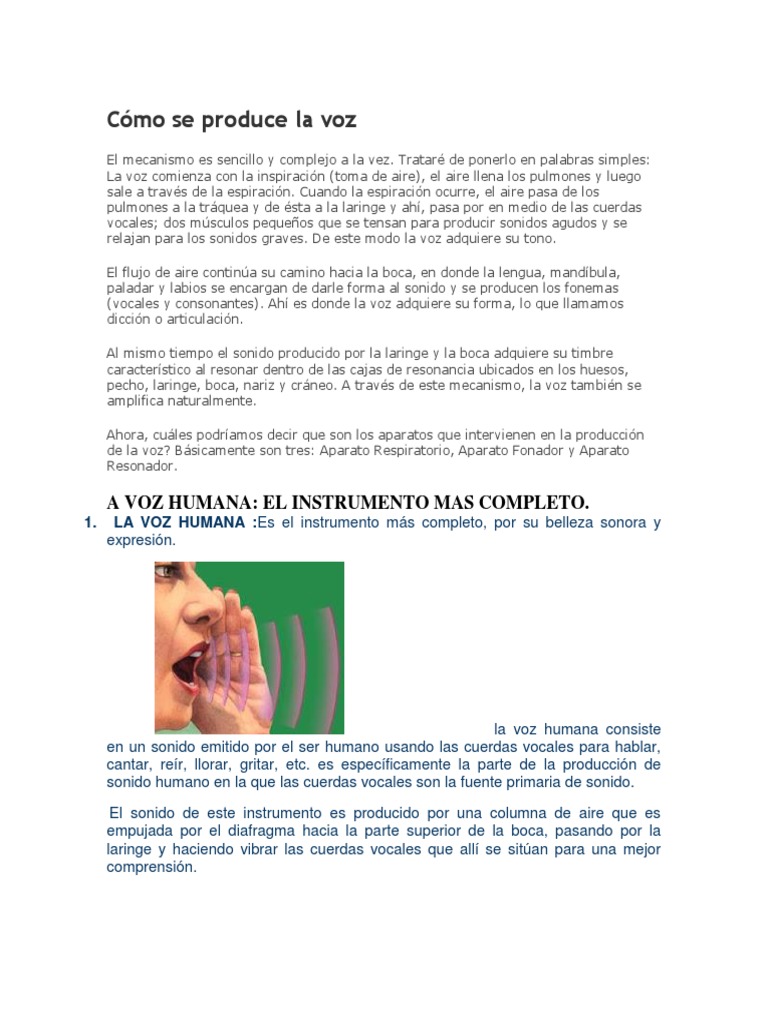 Cómo Se Produce La Voz | PDF | Voz humana | Garganta Humana