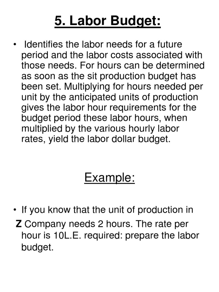 Labor Budget | PDF | Cost | Labour Economics