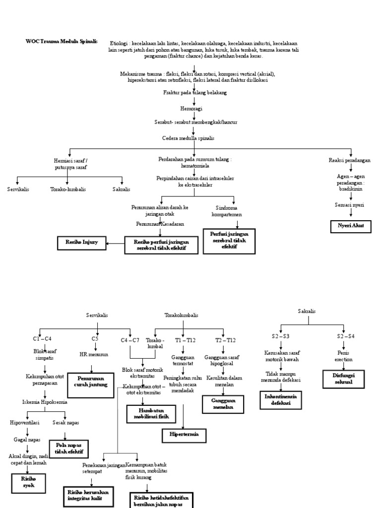 Trauma Medula Spinalis | PDF