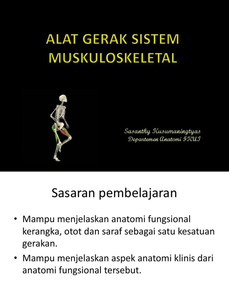 Anatomi Sistem Muskuloskeletal 2018 | PDF